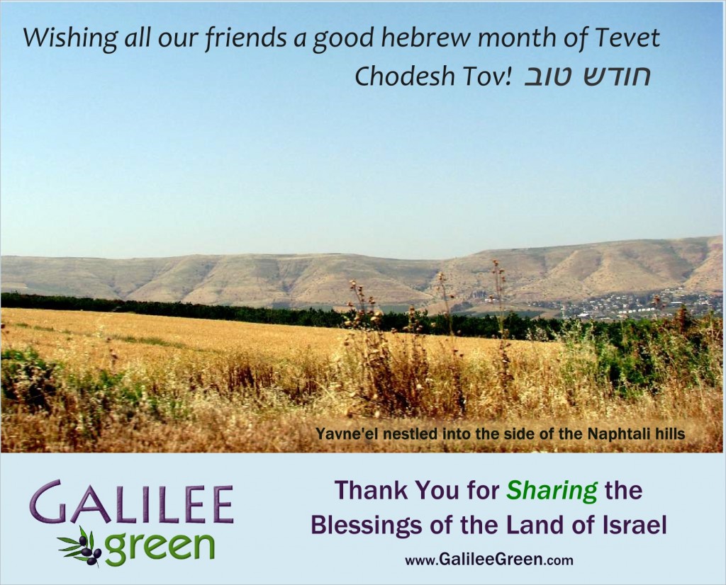 It's a New Moonth! Tevet | Galilee Green
