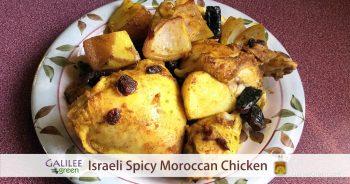 Israeli Moroccan Style Chicken | Galilee Green