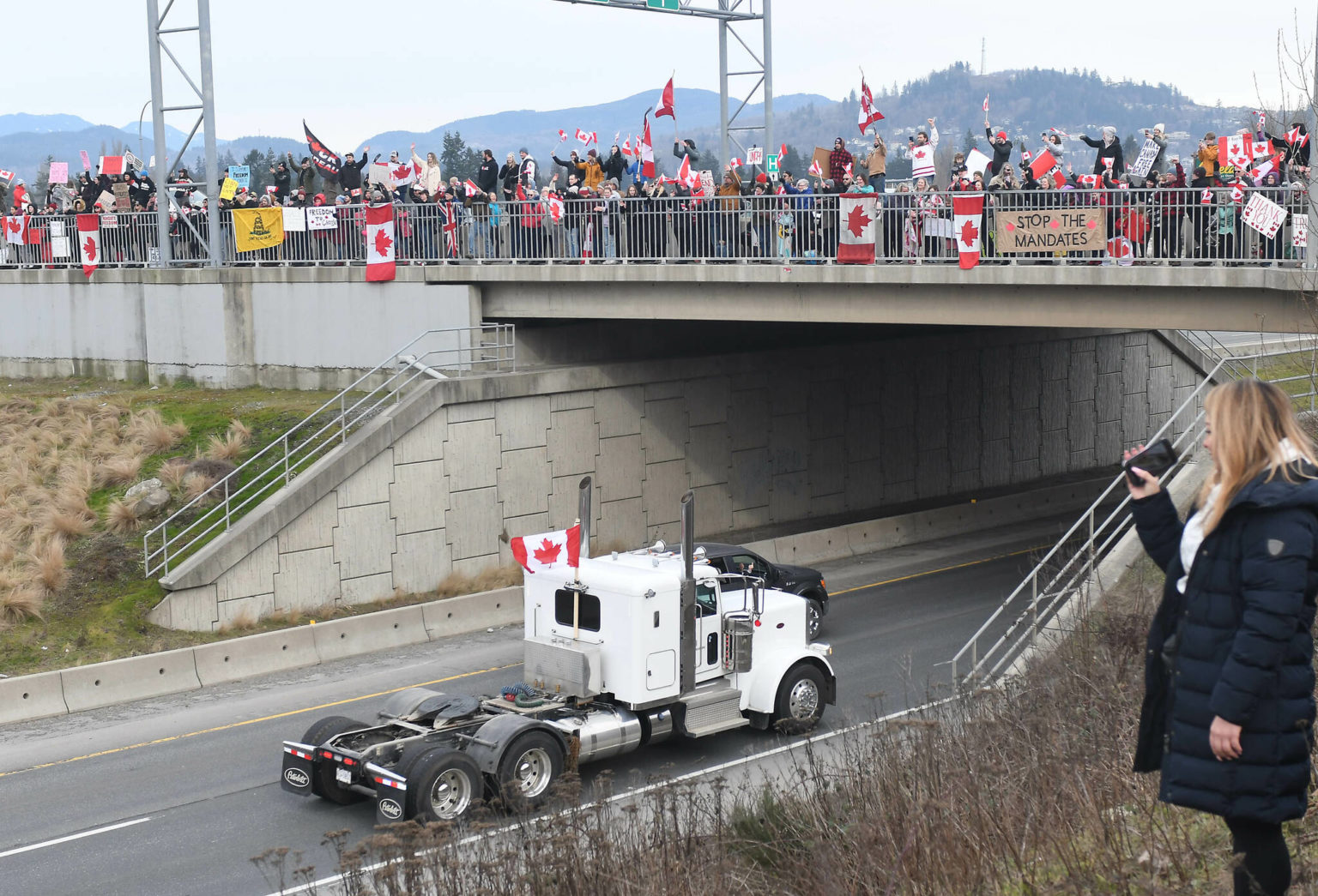 The Golden Calf and the Truckers' Convoy in Canada | Galilee Green